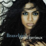 Amel Larrieux - Bravebird (2003) [FLAC] - Gold Hip Hop